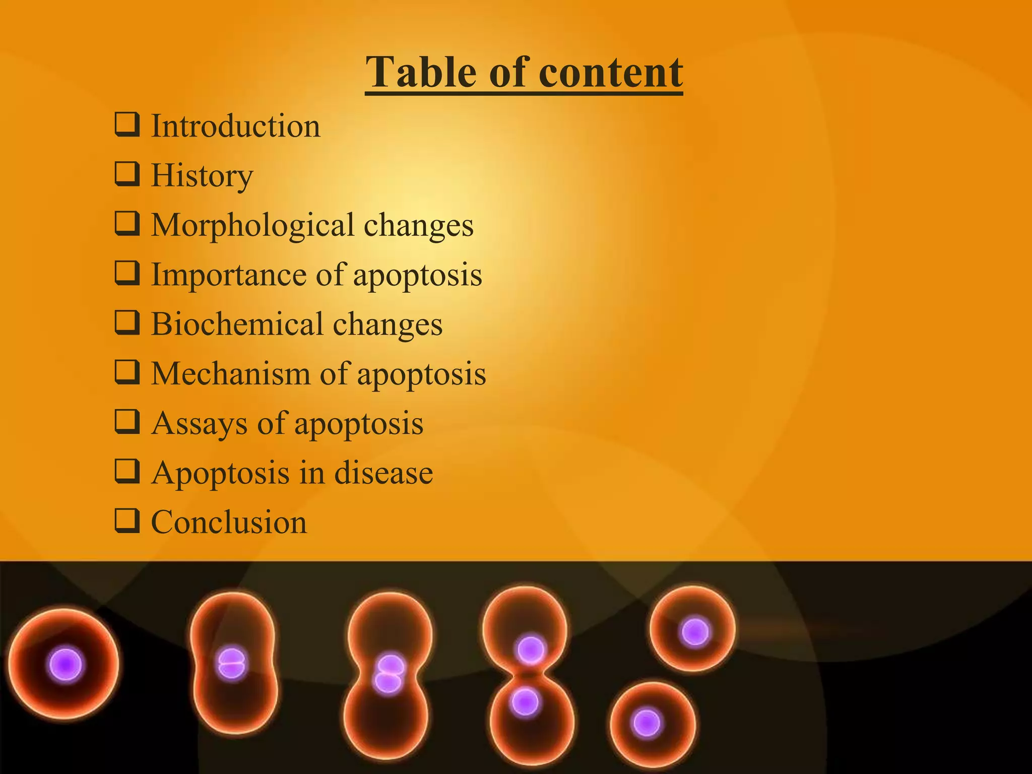 Apoptosis definition, mechanism , Apoptosis vs necrosis, Assays of ...