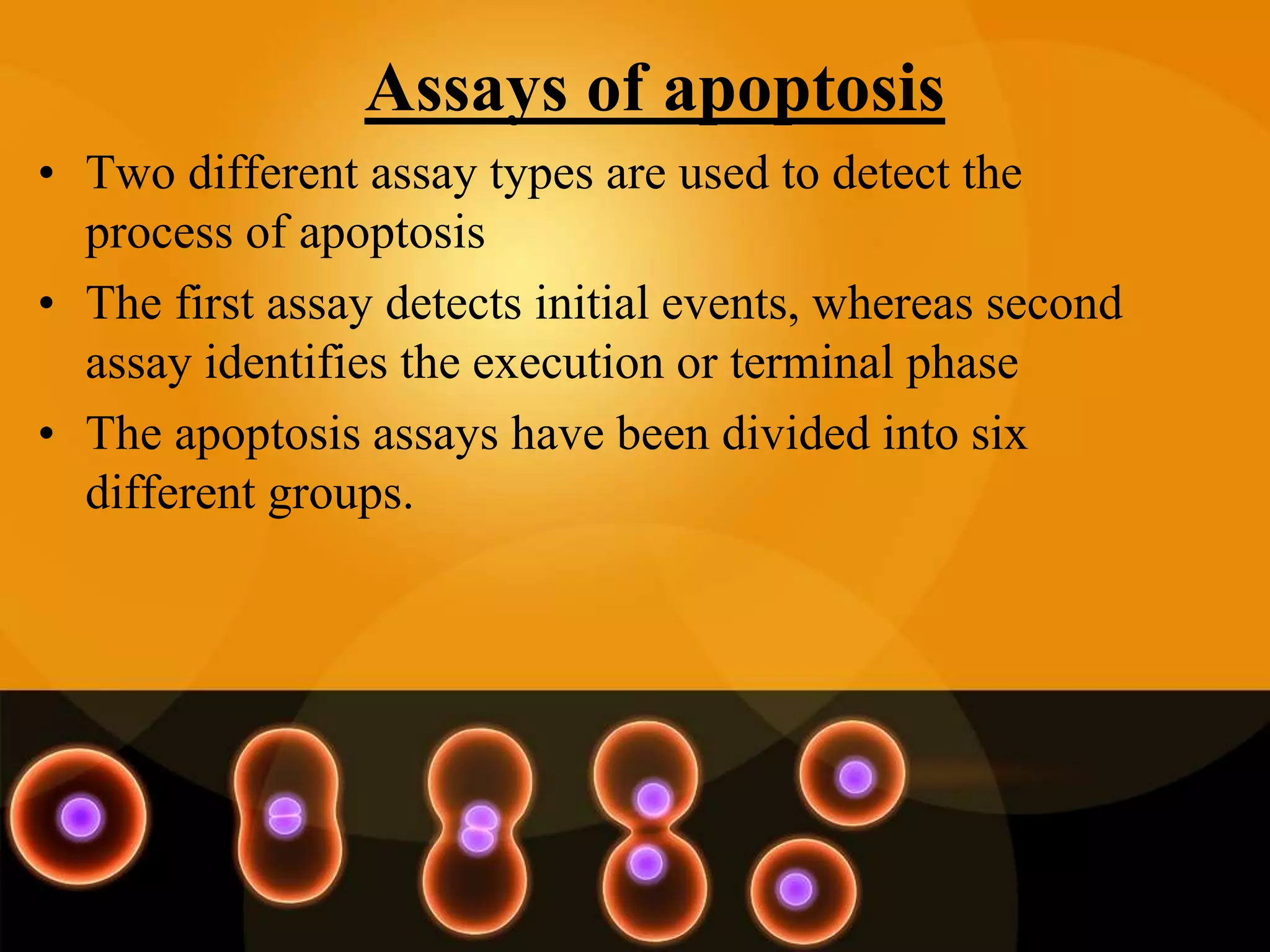 Apoptosis definition, mechanism , Apoptosis vs necrosis, Assays of ...