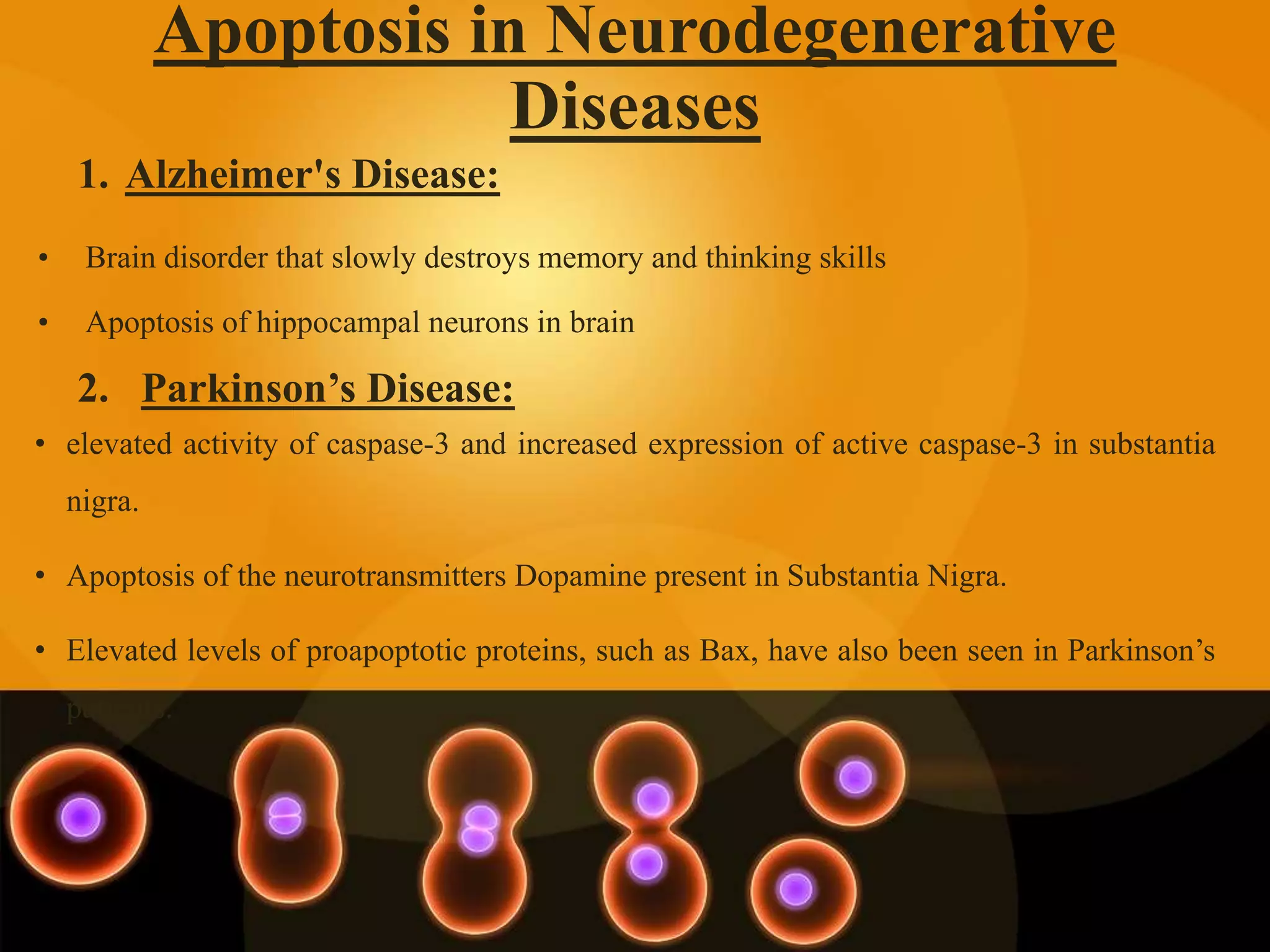 Apoptosis definition, mechanism , Apoptosis vs necrosis, Assays of ...