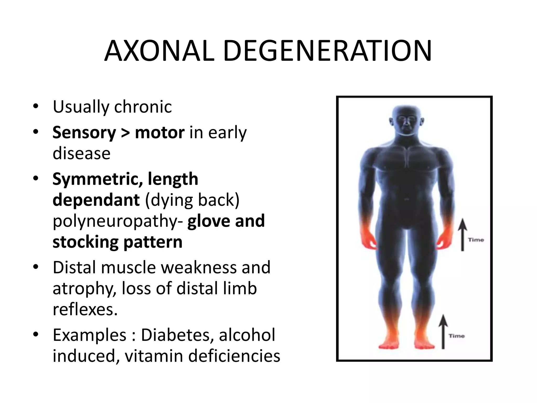 approach to polyneuropathy | PPTX