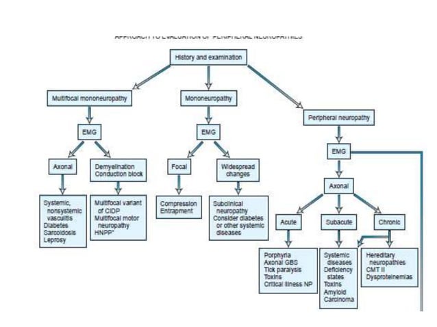 approach to polyneuropathy | PPTX