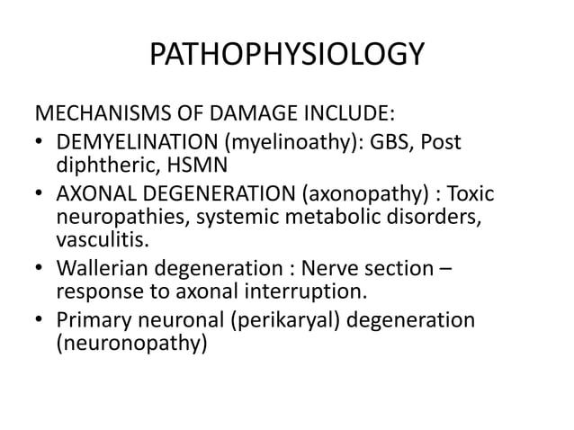 approach to polyneuropathy | PPTX
