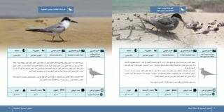 الطيور البحرية في منطقة تبوك | PDF