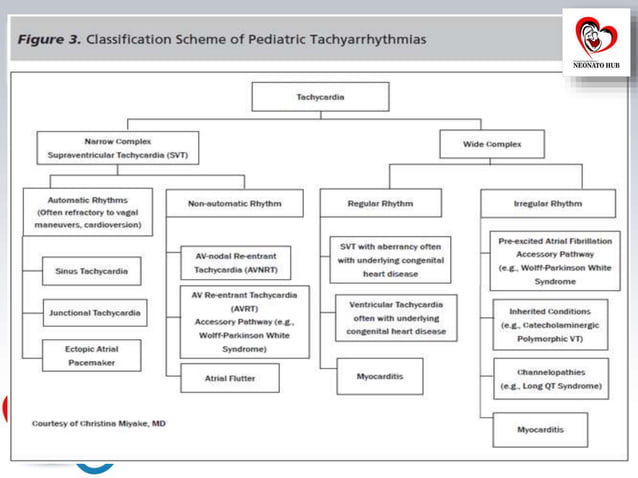Pediatric Arrythmias | PPT | Heart and Cardiovascular Diseases ...