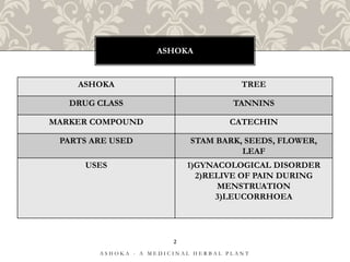 Ashoka Drug | PPTX