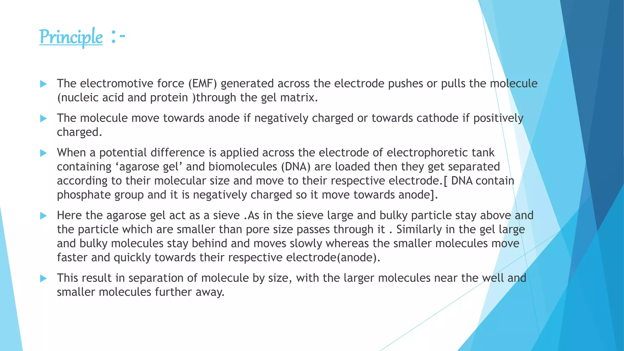 Gel Electrophoresis | PPTX