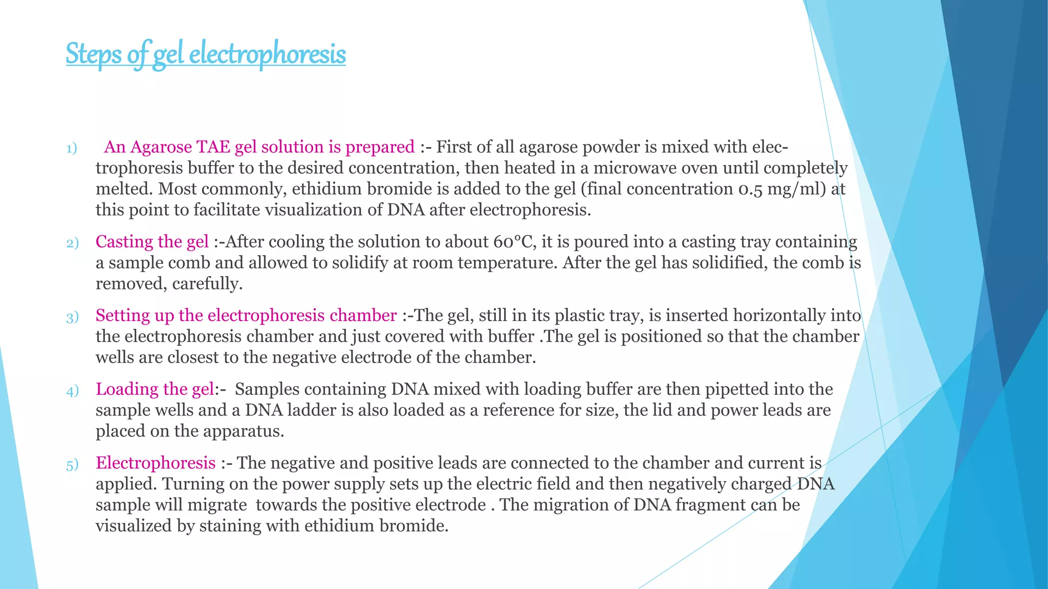 Gel Electrophoresis | PPTX