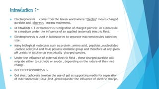 Gel Electrophoresis | PPTX