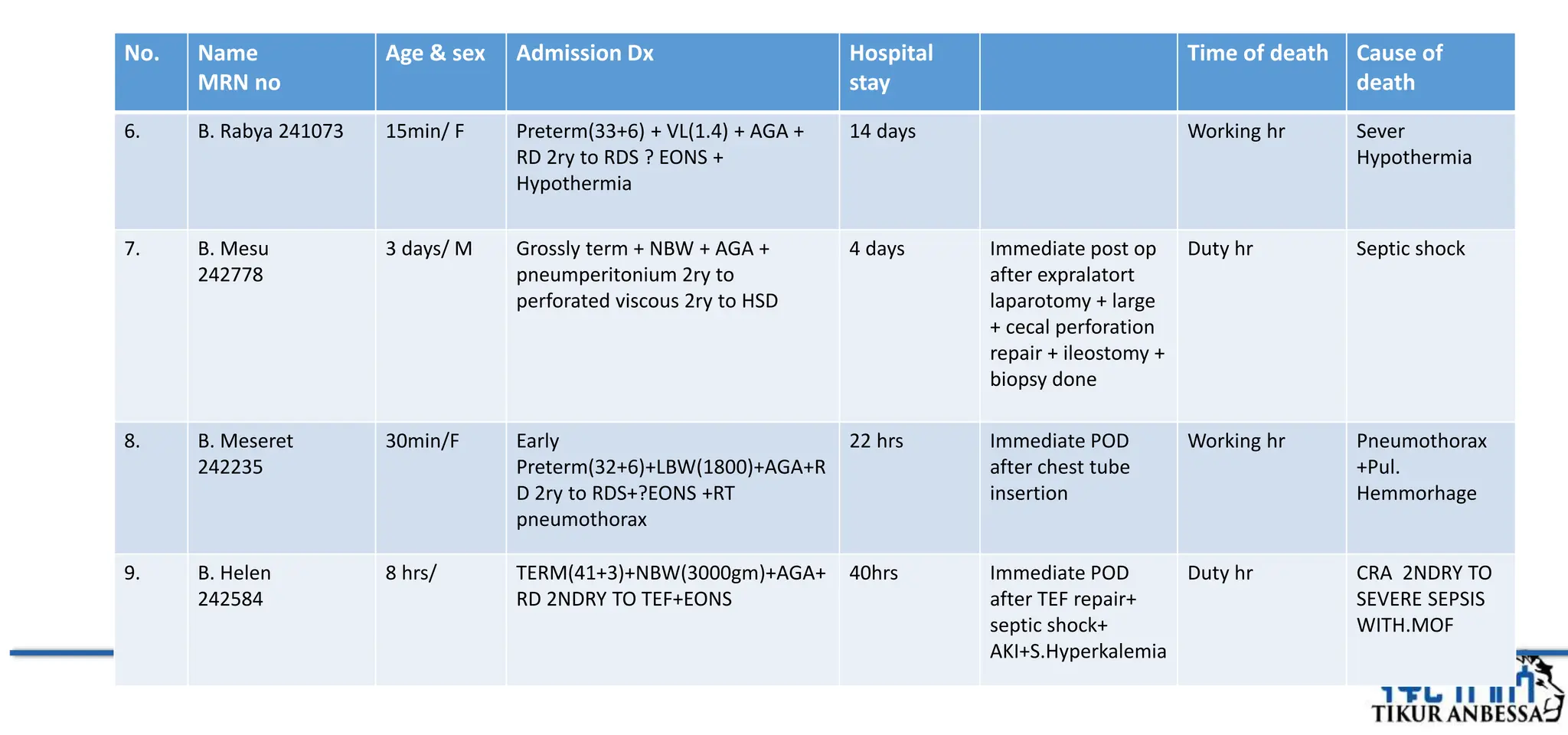 final audit sene.pptx