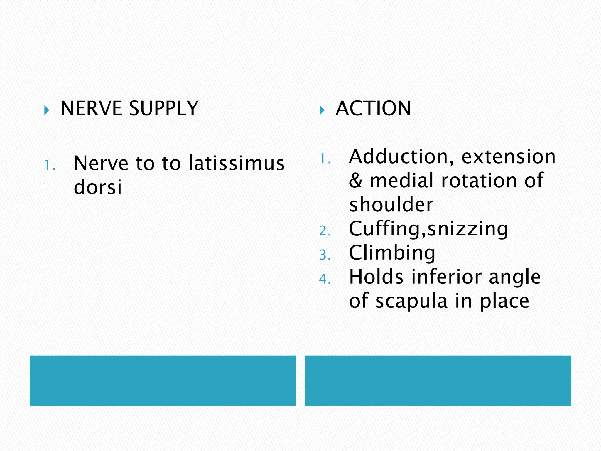 final back and scapular region.pptx