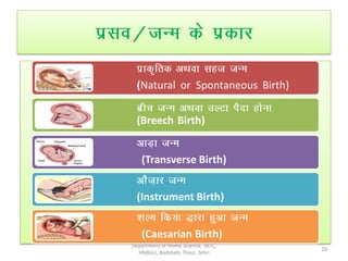 Neonate: Adjustments Made at Birth | PDF