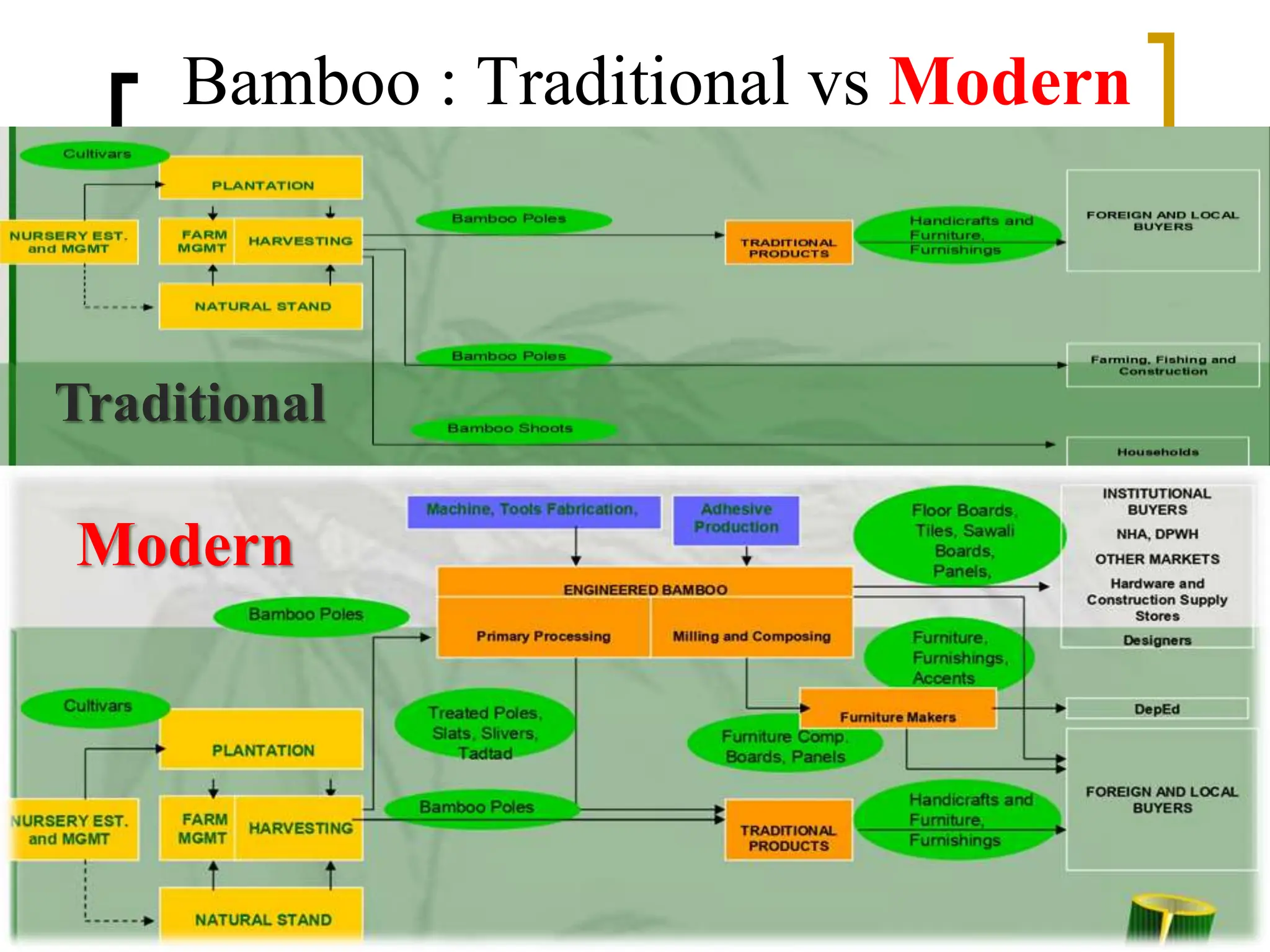 REPORT ON BAMBOO VALUE CHAIN ( National Workshop on Bamboo Development ...