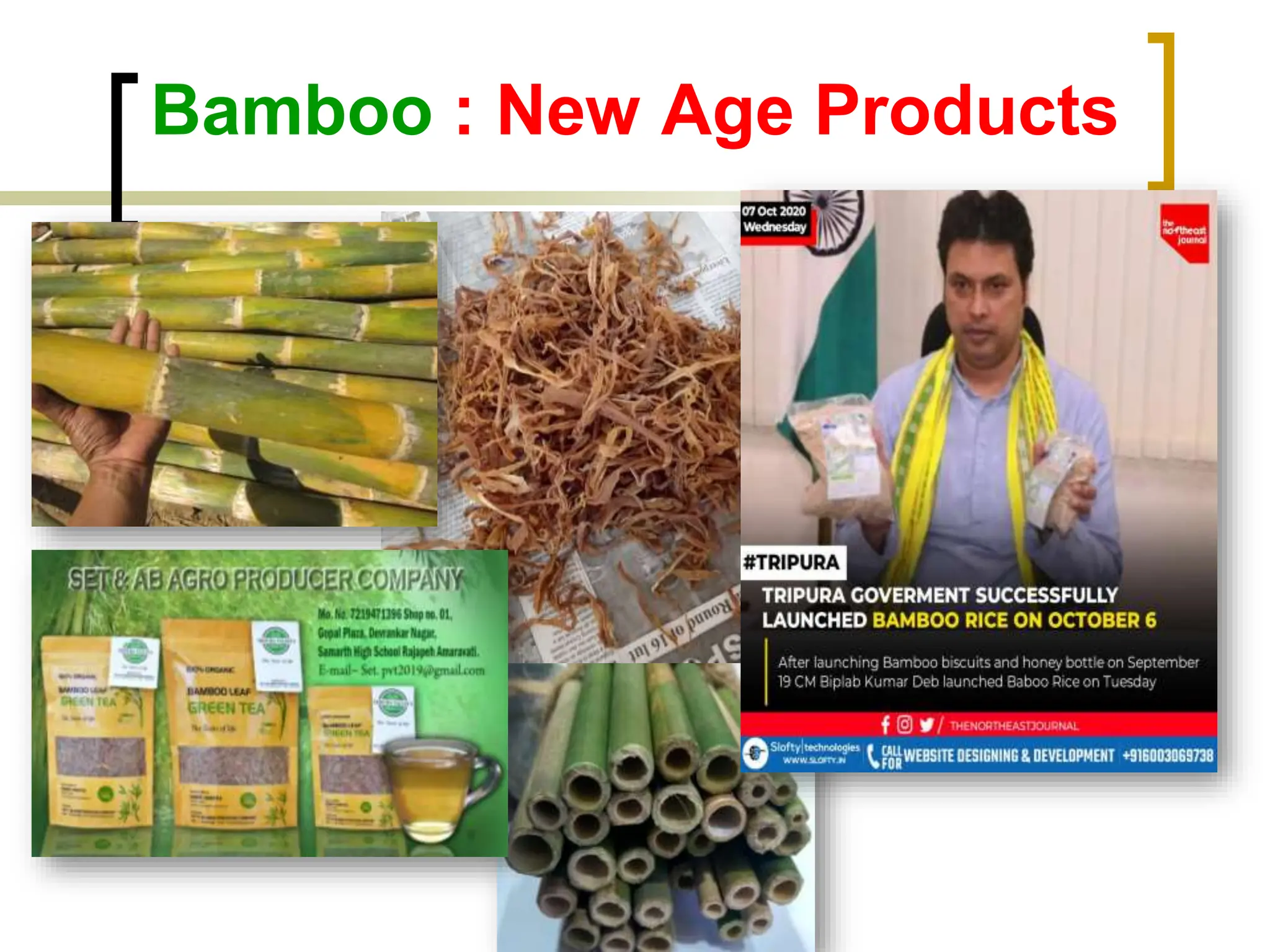 REPORT ON BAMBOO VALUE CHAIN ( National Workshop on Bamboo Development ...
