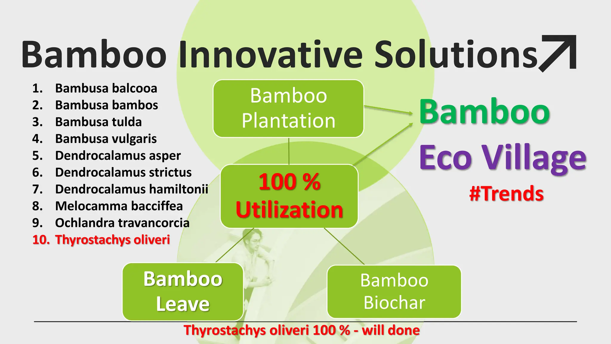 REPORT ON BAMBOO VALUE CHAIN ( National Workshop on Bamboo Development ...