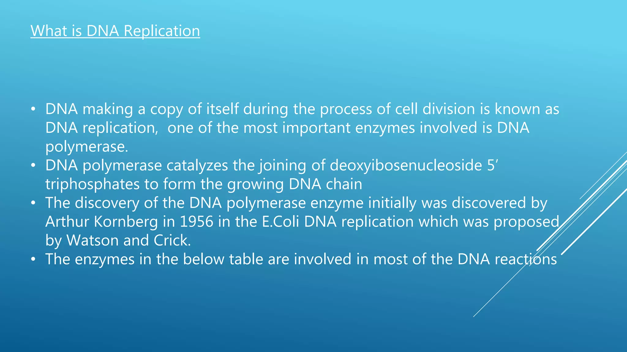 DNA Replication Process | PPT