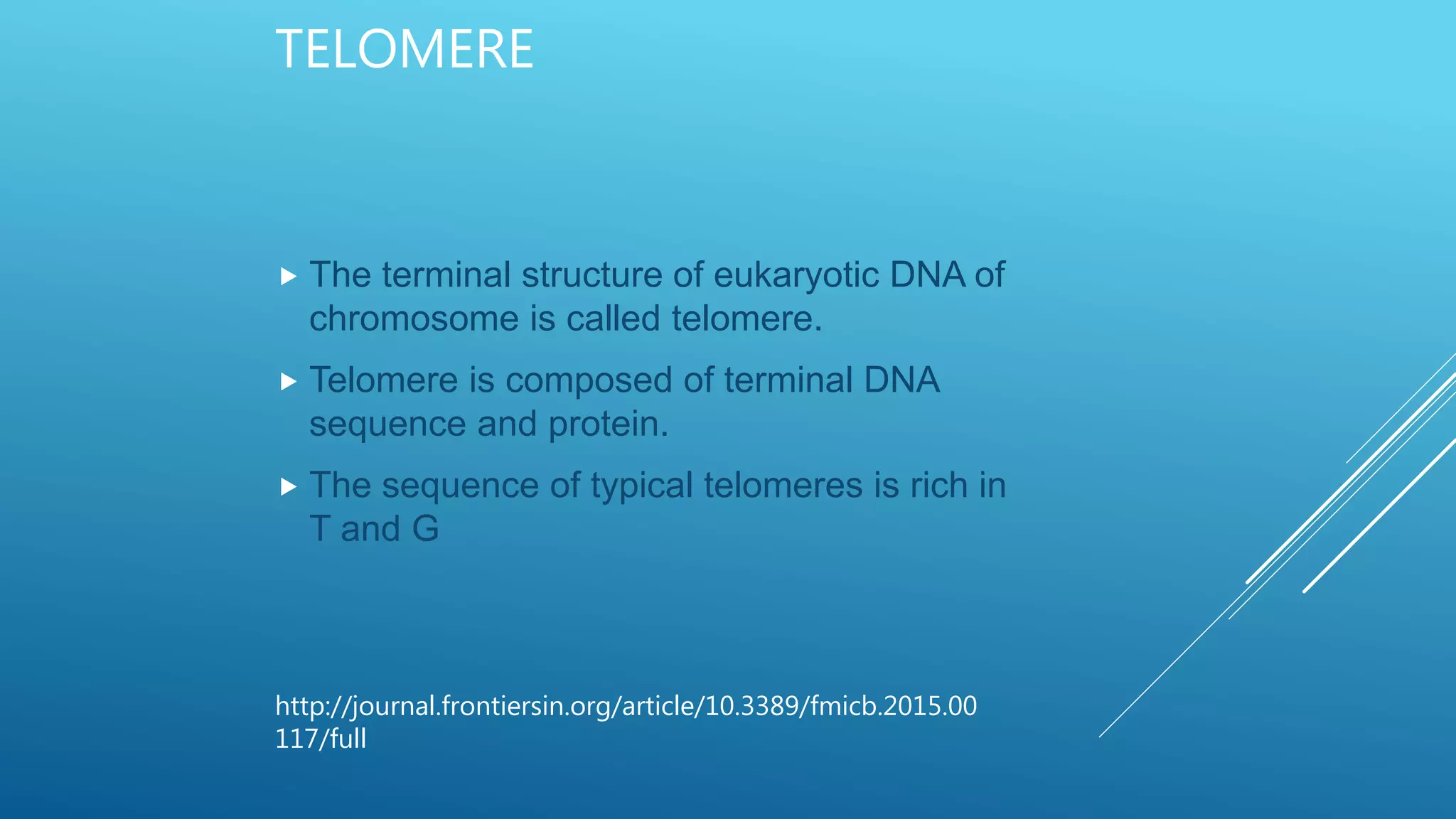 Dna Replication Process Ppt