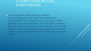 DNA Replication Process | PPT