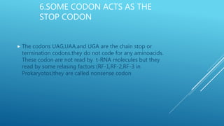 DNA Replication Process | PPT