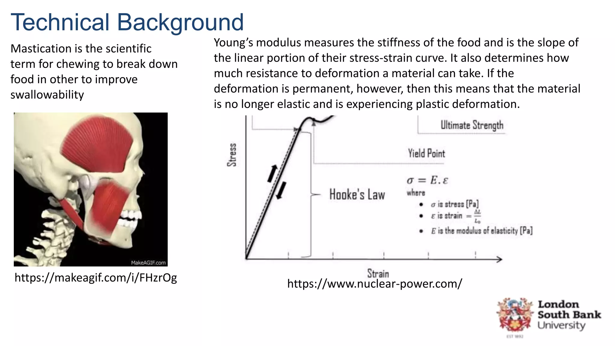 Final Beng Project 2022.pptx
