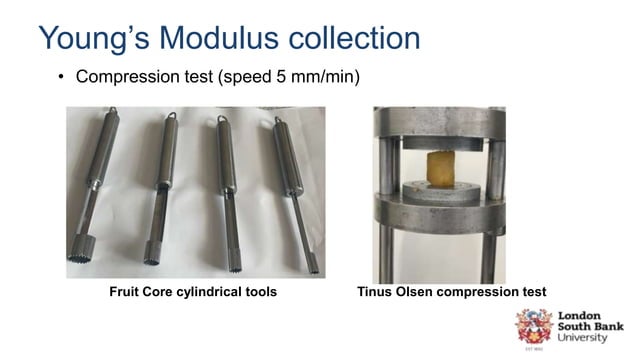 Final Beng Project 2022.pptx