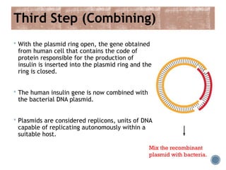 final bio 24-25.pptxm,,,,,,,,,,,,,,,,,,,,,,,,,,,,,, | PPTX