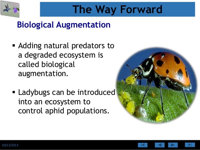 Biodiversity Conservation