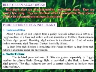 Biofertilizrs under biotechnology | PPTX