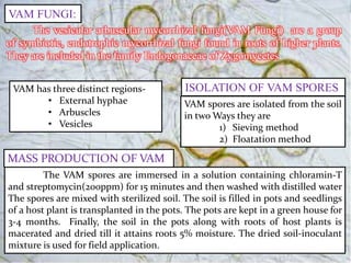 Biofertilizrs under biotechnology | PPTX