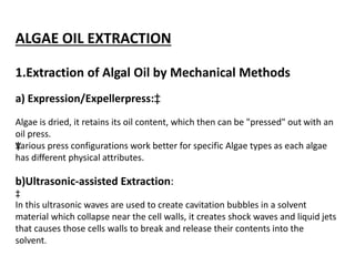 algae as biofuel | PPTX
