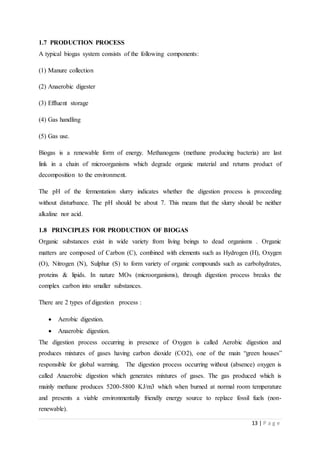 Final biogas report | DOCX