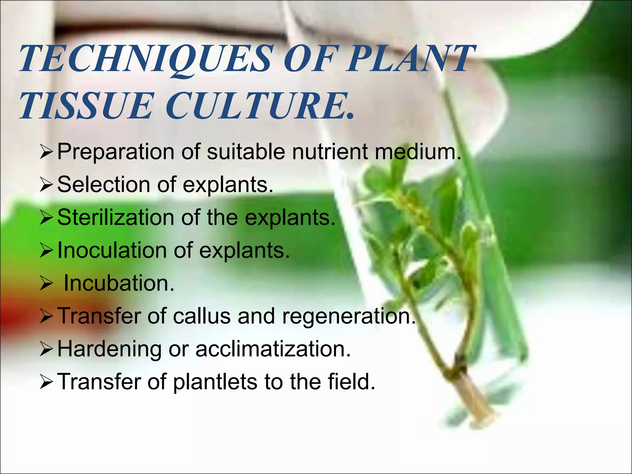 plant tissue culture ppt | PPT