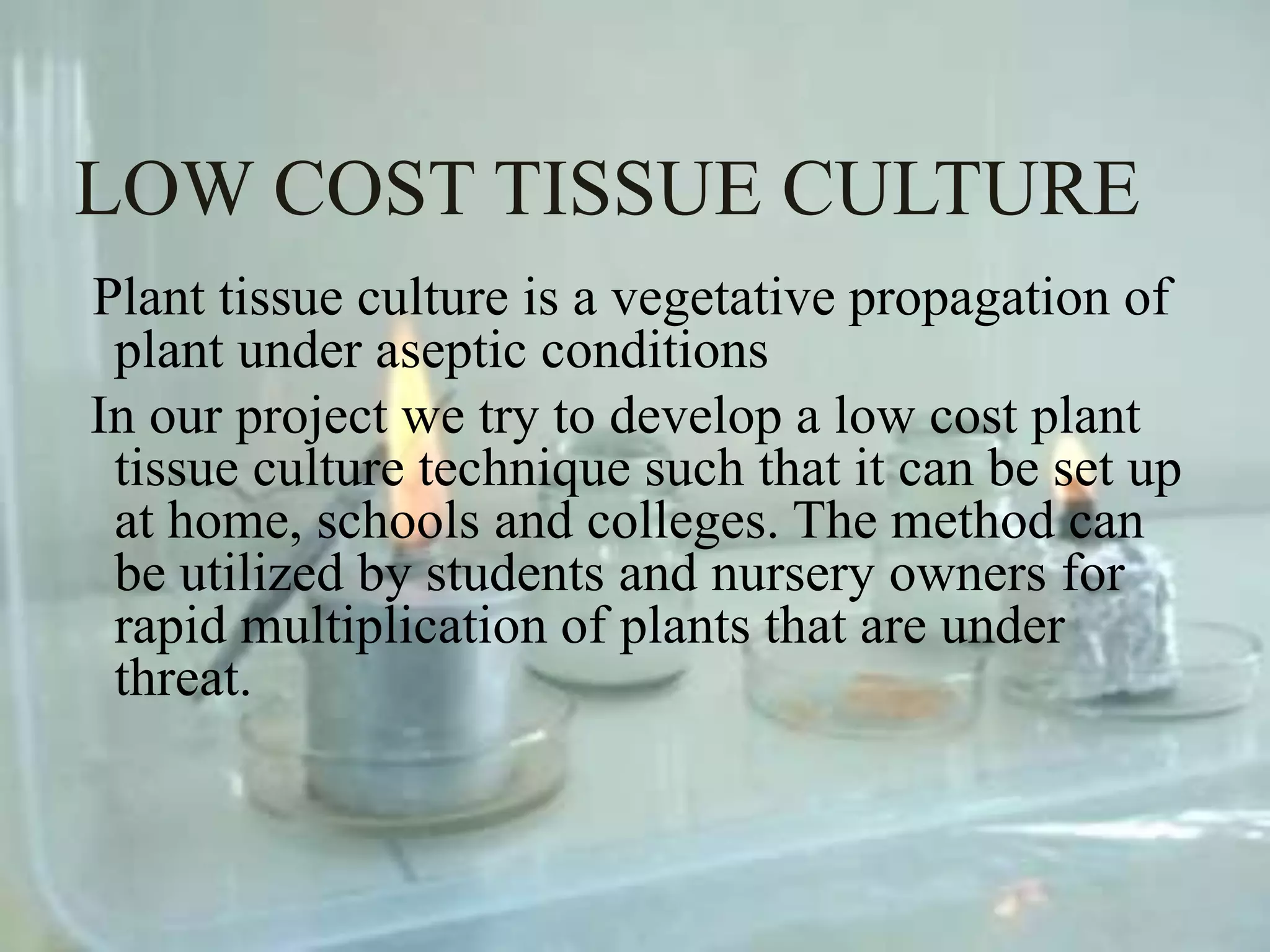 plant tissue culture ppt | PPT