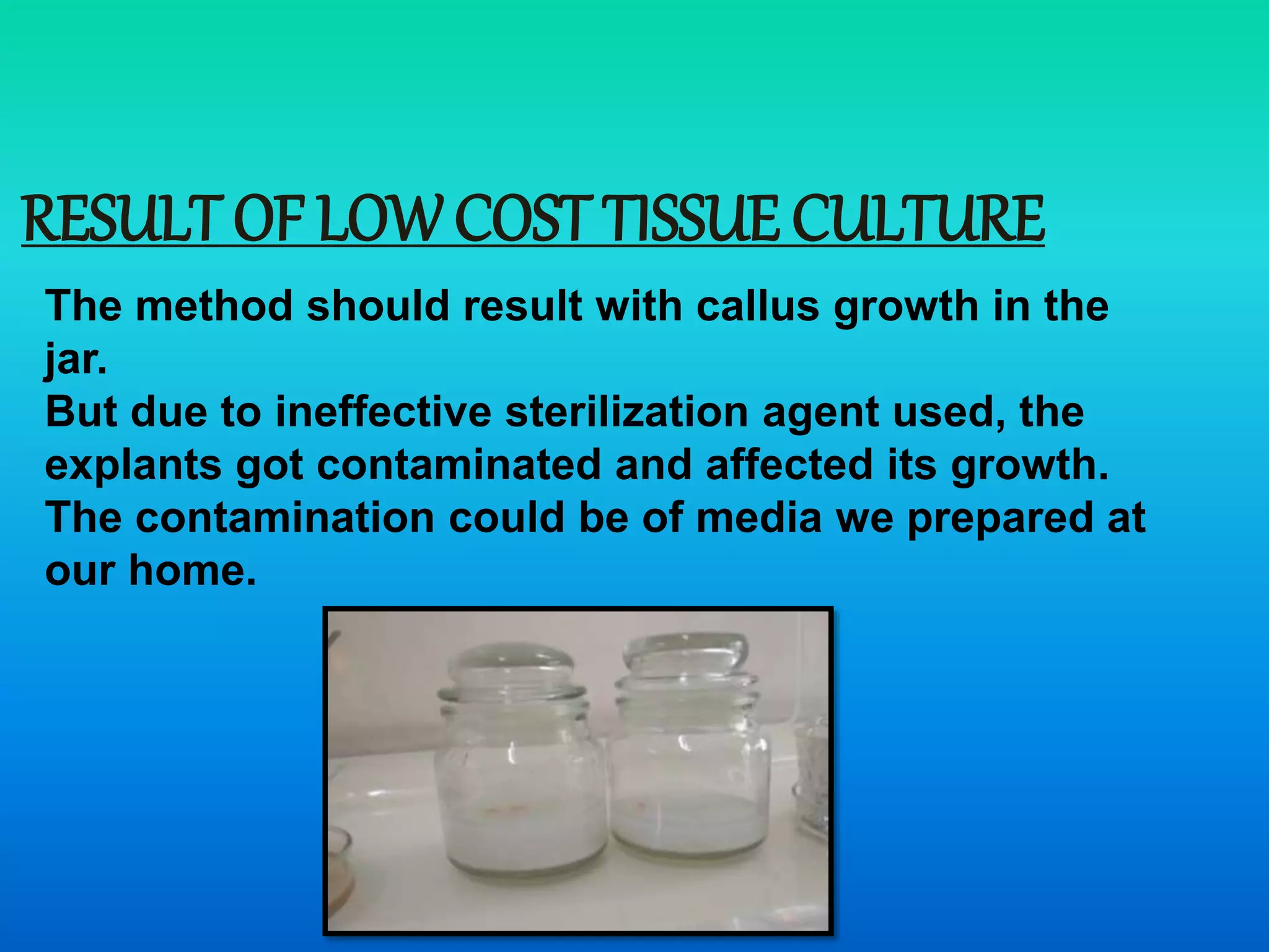 plant tissue culture ppt | PPT