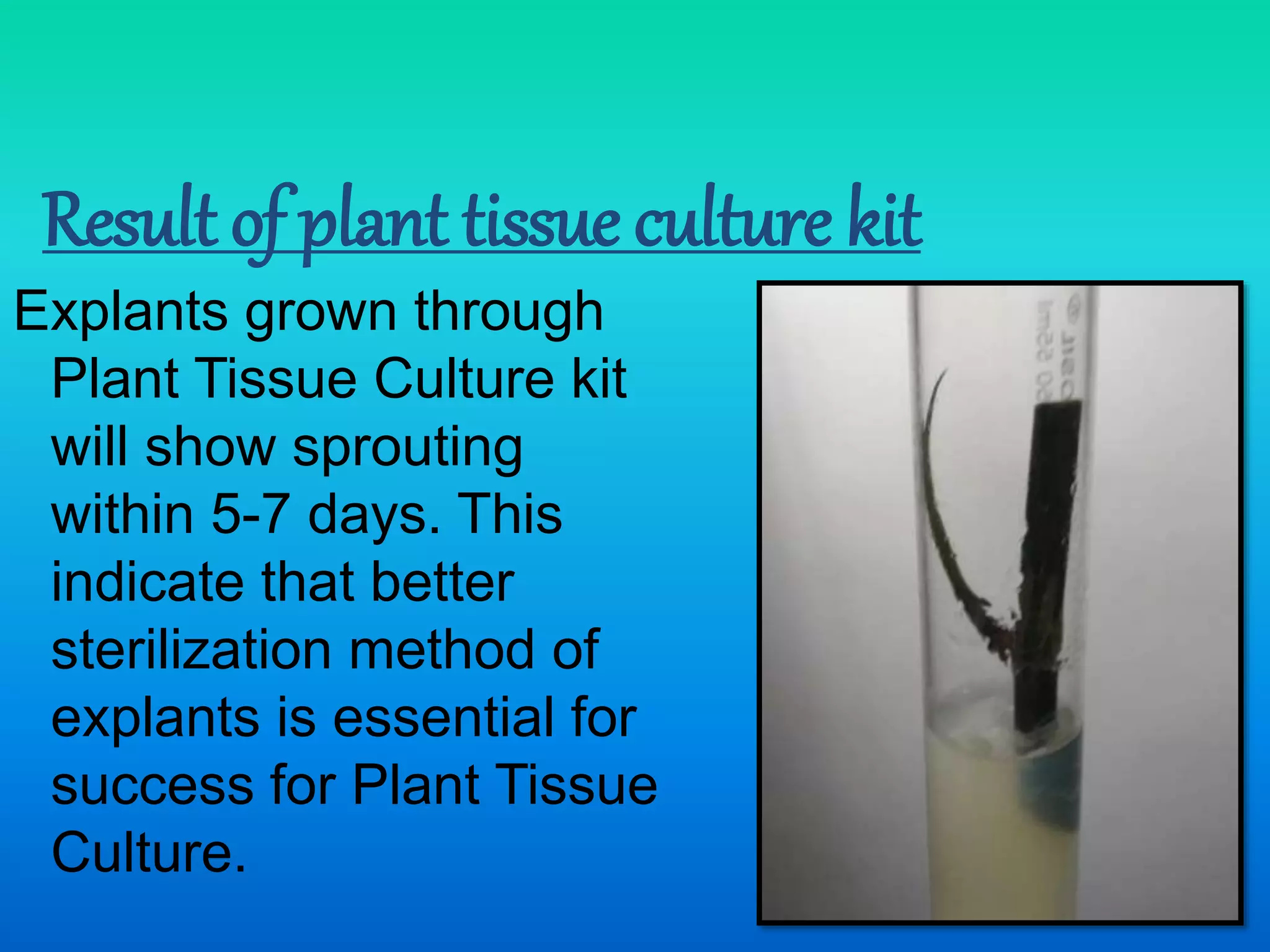 plant tissue culture ppt | PPT