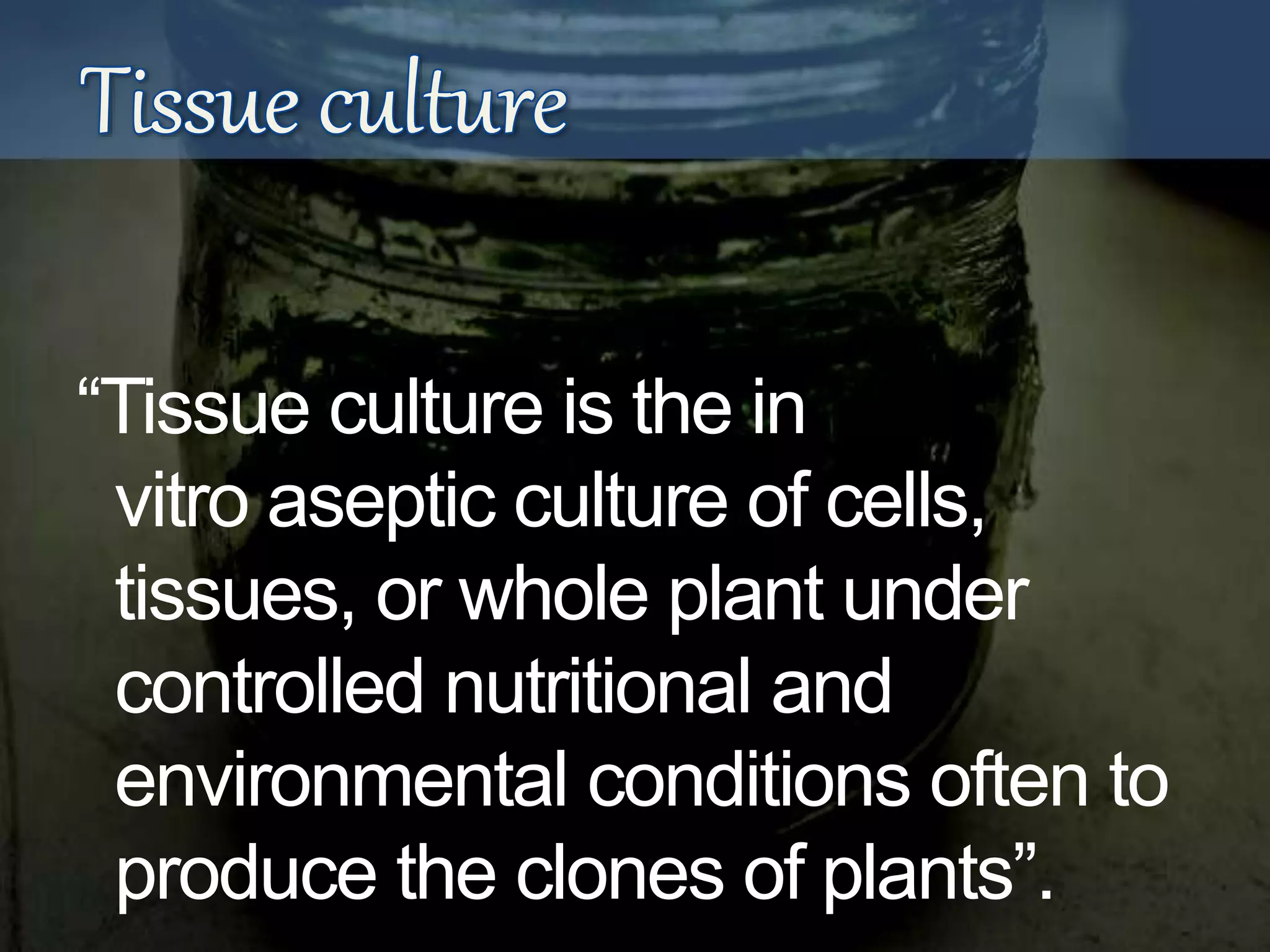 plant tissue culture ppt | PPT