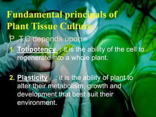 plant tissue culture ppt | PPT