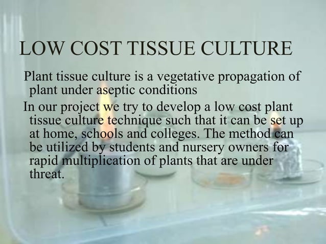 plant tissue culture ppt | PPT