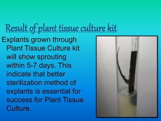 plant tissue culture ppt | PPT