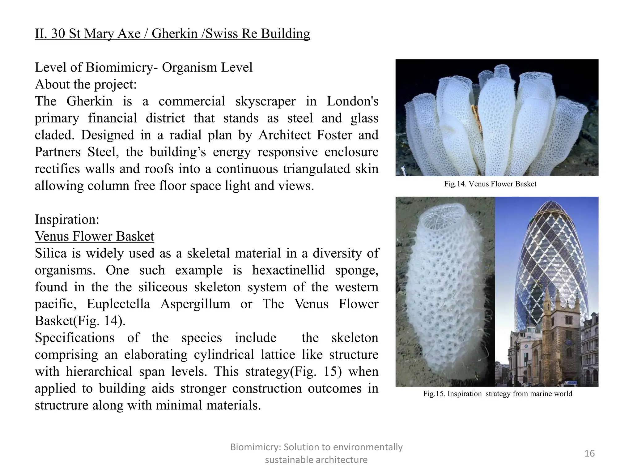 Biomimicry in Architecture: Integrating Biomimicry in Architecture for ...
