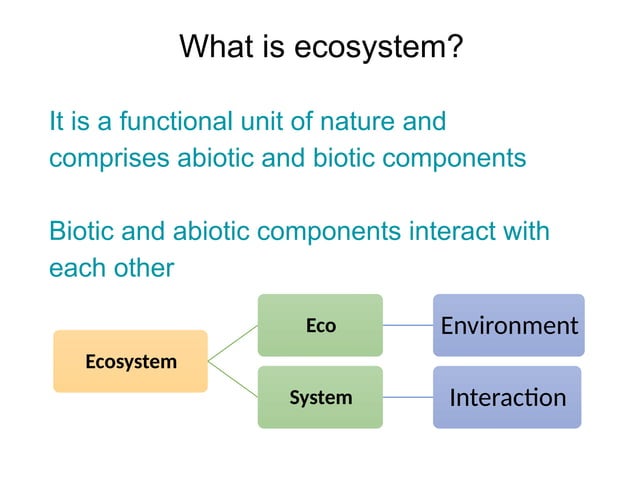 Final_Bio_PPT.pptx for class 12 ecosystem | PPTX | Geography | Science