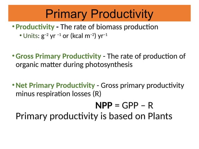 Final_Bio_PPT.pptx for class 12 ecosystem | PPTX | Geography | Science