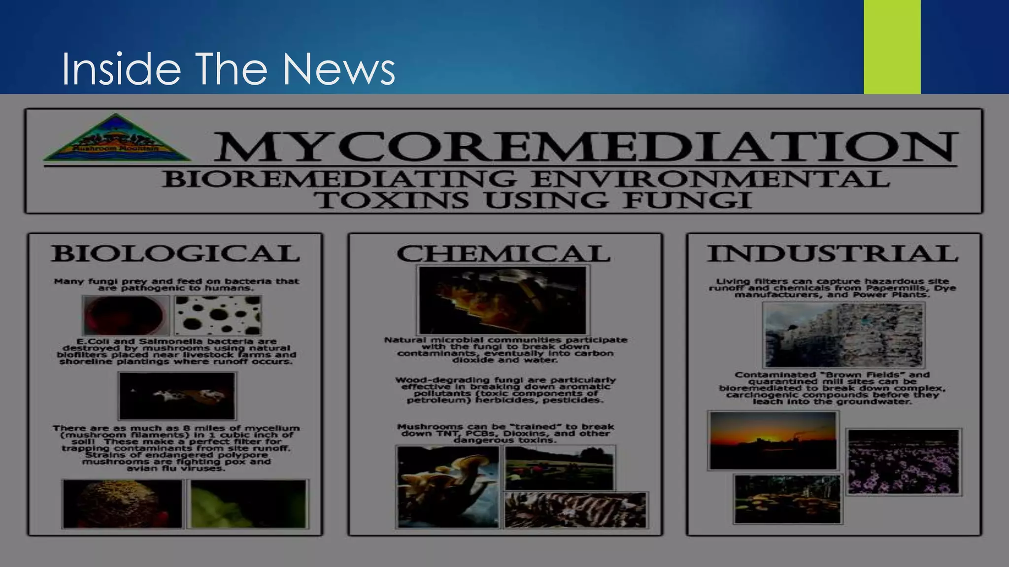 Final bioremediation | PPTX