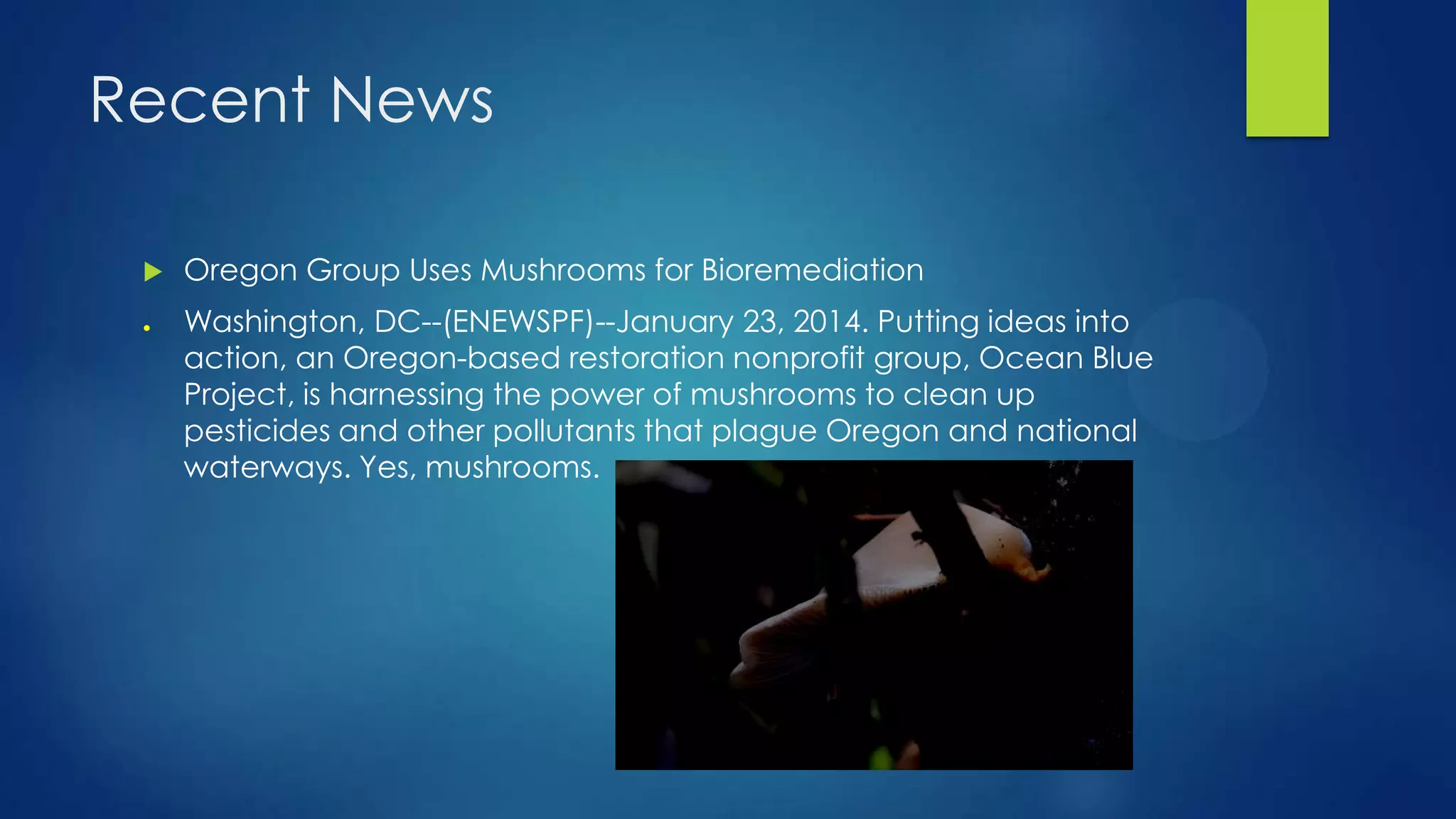 Final bioremediation | PPTX