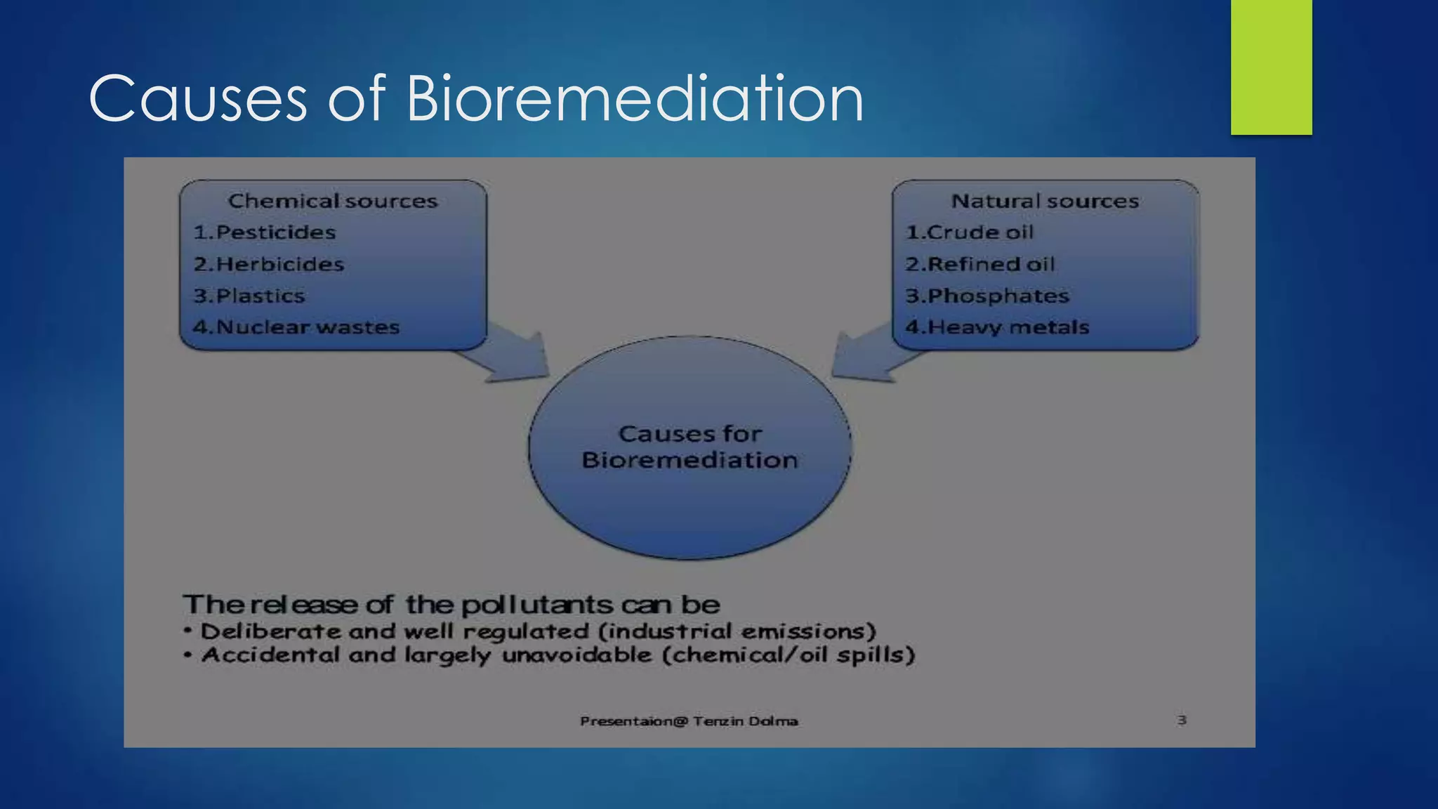 Final bioremediation | PPTX