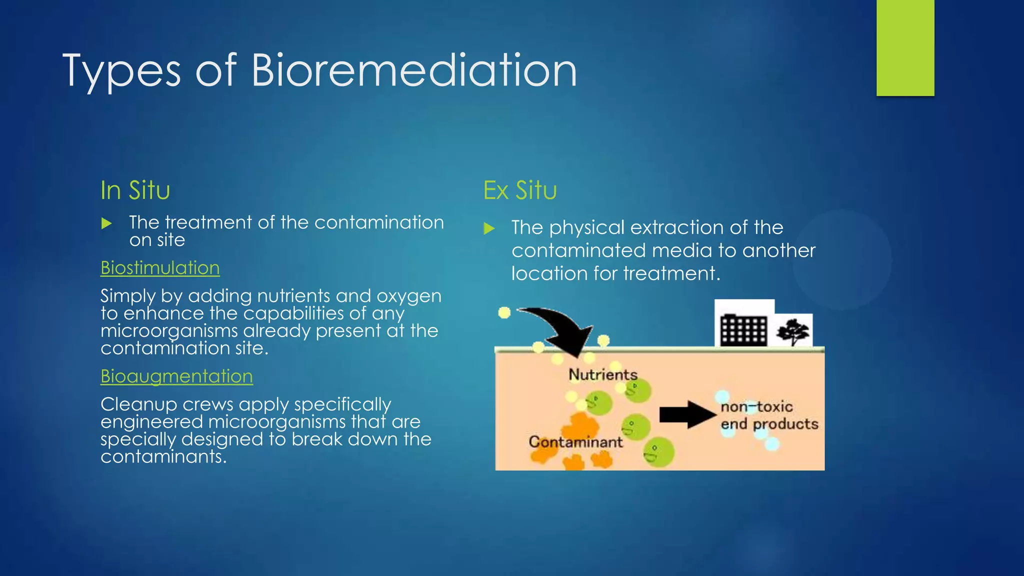 Final bioremediation | PPTX