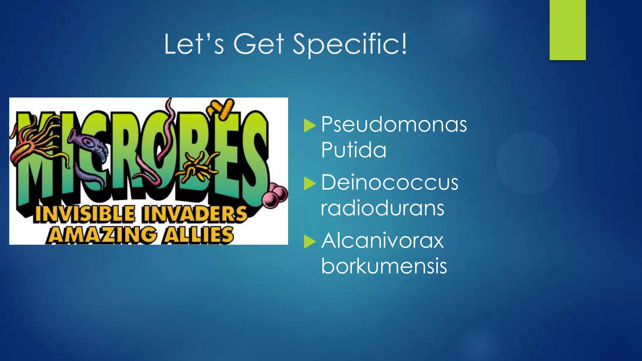 Final bioremediation | PPTX