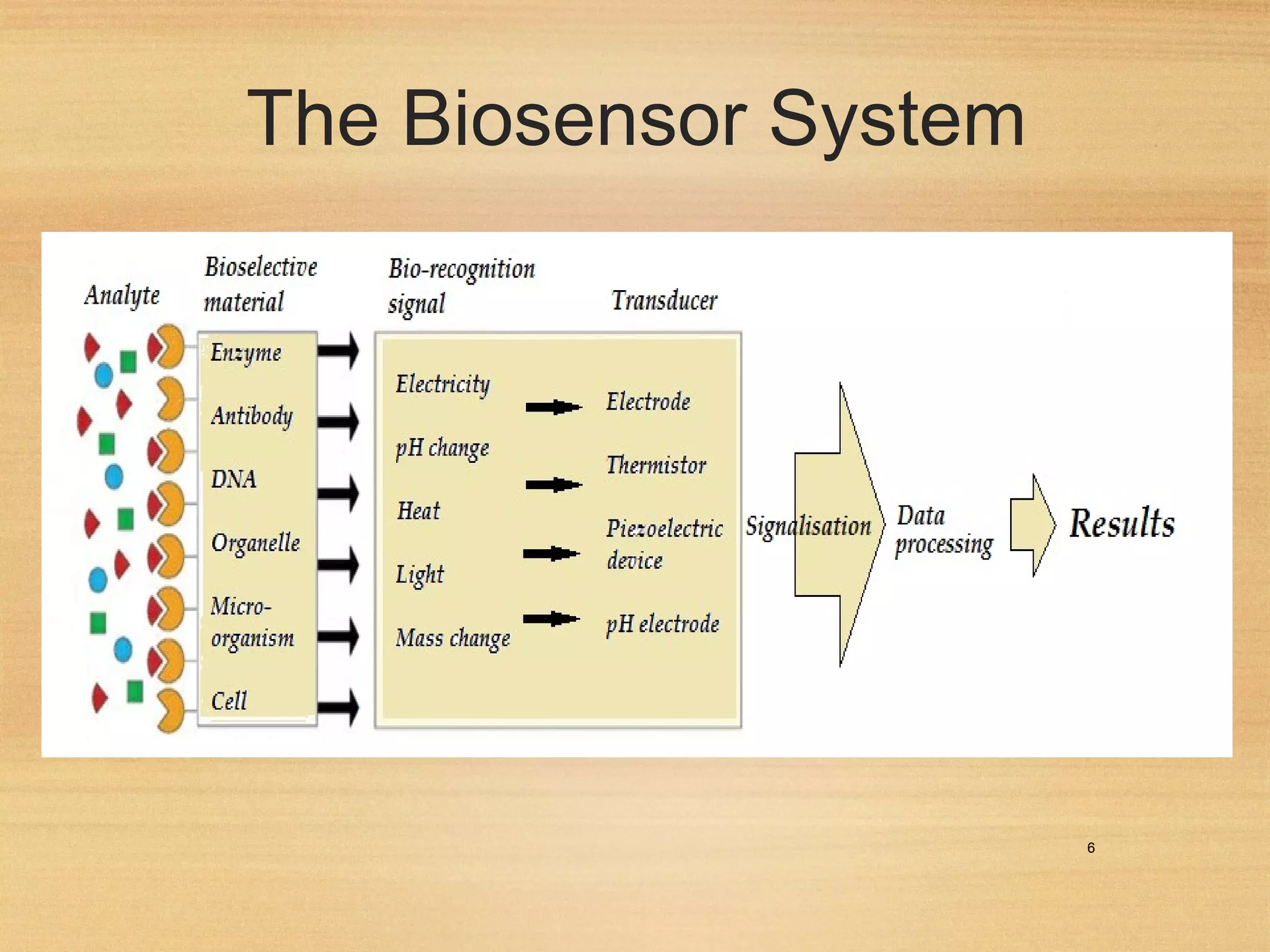 THE USE OF BIOSENSORS IN FOOD INDUSTRY | PPT