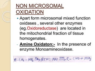 Biotransformation of Xenobiotics (Drugs/toxicant Metabolism) | PPTX