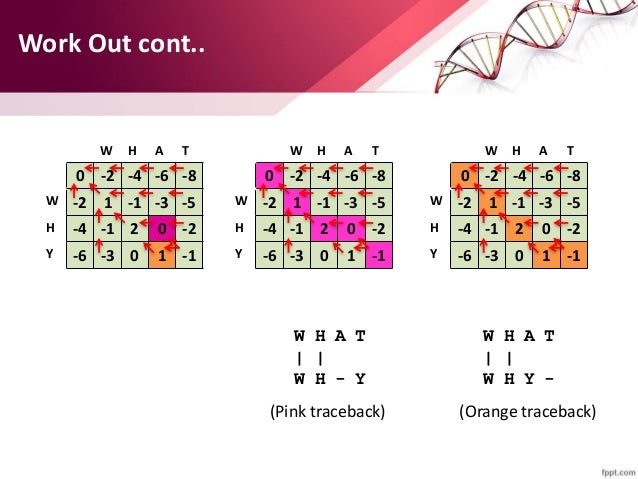 The Needleman-Wunsch Algorithm for Sequence Alignment
