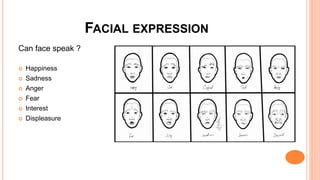 Body language | PPTX | Family and Relationships